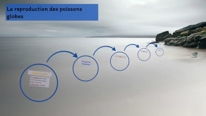 La reproduction des poissons globes by Marius Ceribelli on Prezi