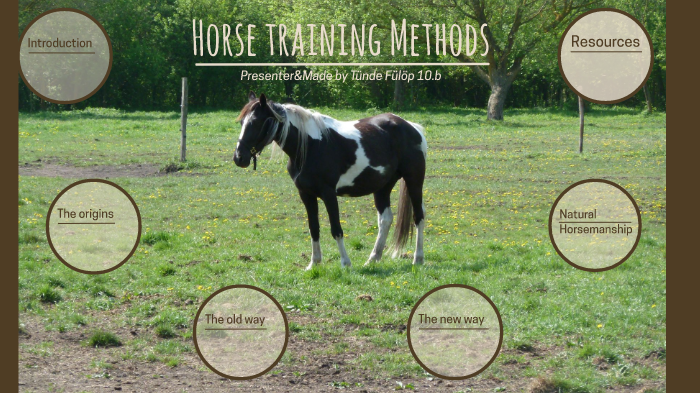 Horse training methods by Tündi Fülöp on Prezi