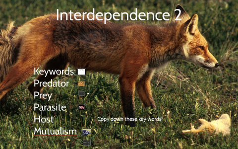 Interdependence 2 by Sean Pearce on Prezi