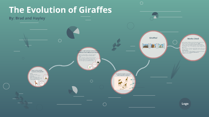 The Evolution of Giraffes by Brad Schultes on Prezi