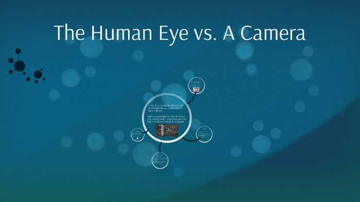 The Human Eye vs. A Digital Camera by sara t