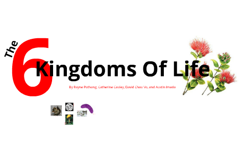 Kingdoms of Life Project by Cathy Cau on Prezi