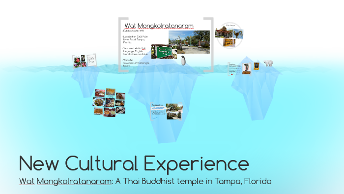 New Cultural Experience by Amy Choe on Prezi