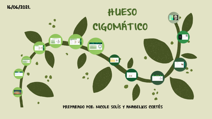 HUESO CIGOMÁTICO by Nicole Solis on Prezi