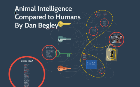 Intelligence of Animals Compared to Humans by Dan Begley on Prezi