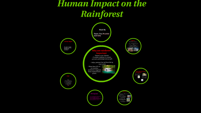 Human Impact on the Rainforest by asha gearing on Prezi