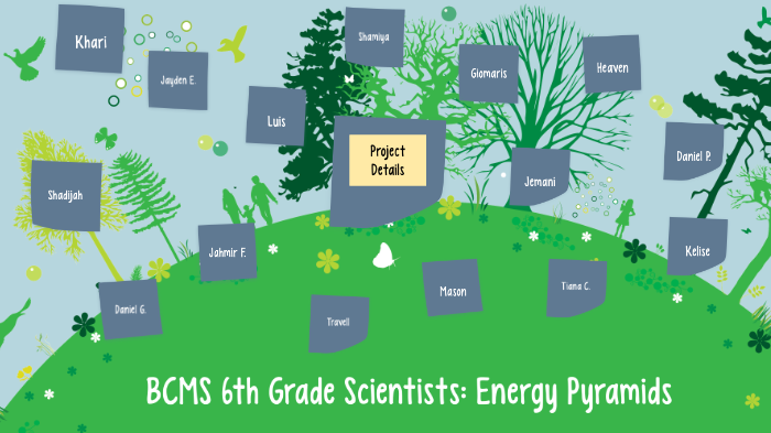 6th grade Energy Pyramids by Ms. Willis on Prezi