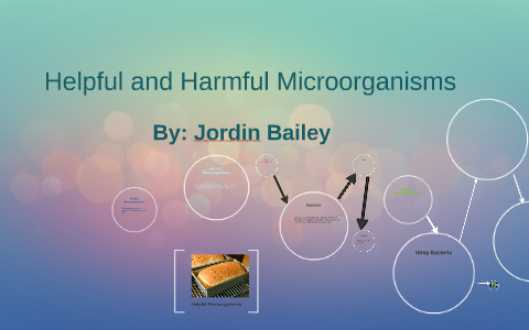 Helpful and Harmful Microorganisms by jordin bailey on Prezi