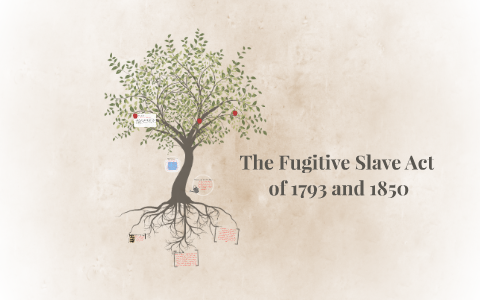 The Fugitive Slave Act by Grace Reynders