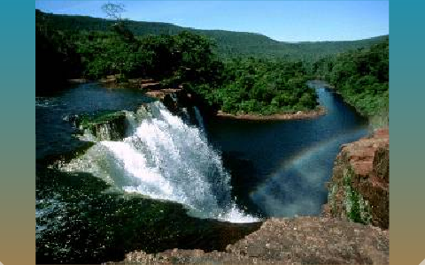 Geography prezi- Rainforests in Angola by Julius Moller on Prezi