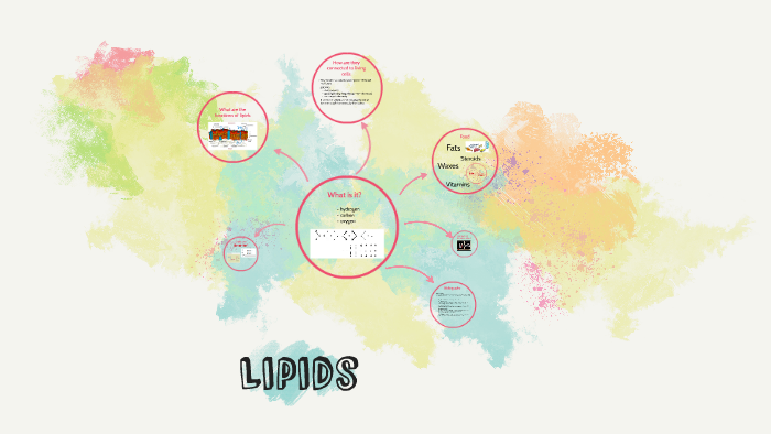Lipids by group project on Prezi