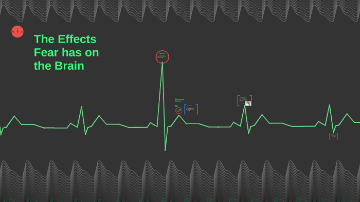 The Effects Fear has on the Brain by Charlotte Rose on Prezi