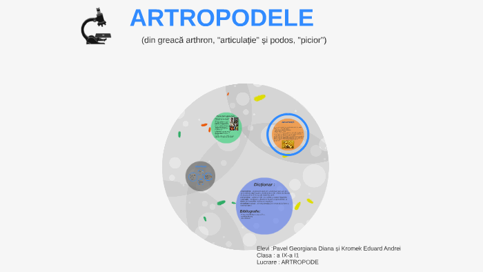 ARTROPODELE by Diana Pavel on Prezi