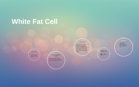 White Fat Cell by Sam Evans on Prezi