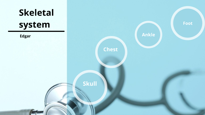 Skeletal System by Edgar Helguera on Prezi