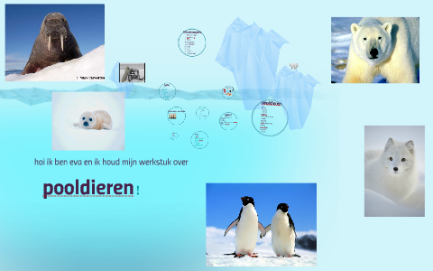 pooldieren by eva muller on Prezi
