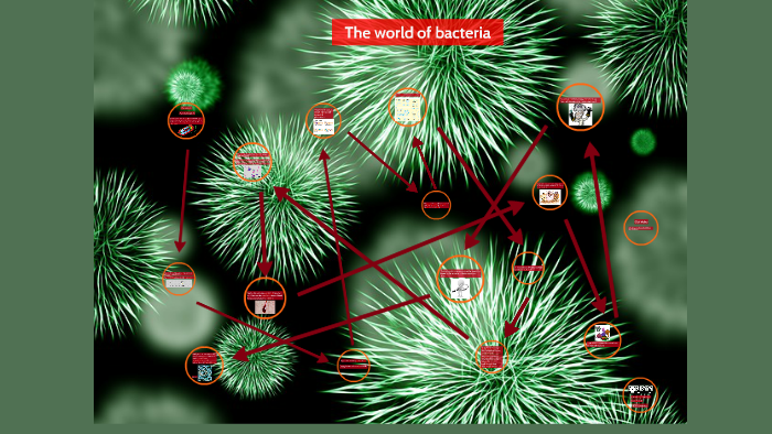 The world of bacteria by Lydia Tello Budia on Prezi