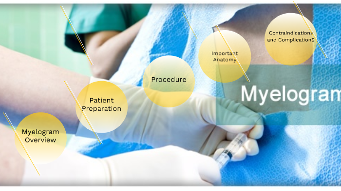 Myelography by Samantha E Hamilton on Prezi