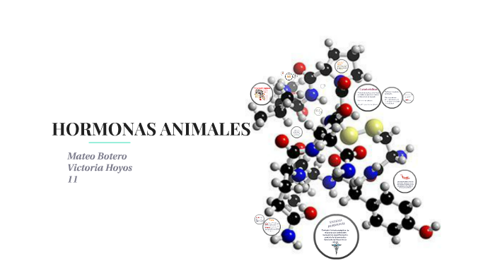 HORMONAS ANIMALES by victoria hoyos on Prezi