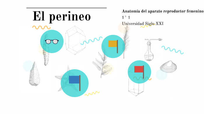El perineo by laura angelica chavez perez on Prezi