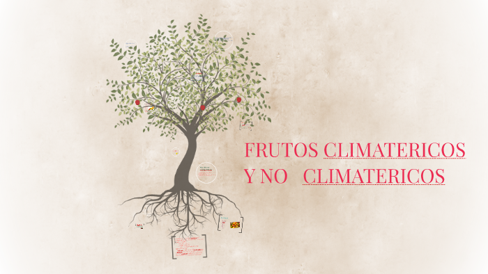 FRUTOS CLIMATERICOS Y NO CLIMATERICOS by ruth colqui on Prezi
