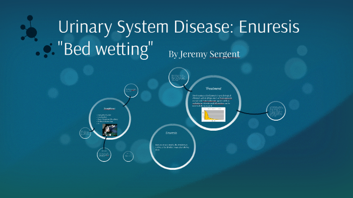 Urinary System Disease: Enuresis by Jeremy Sergent on Prezi