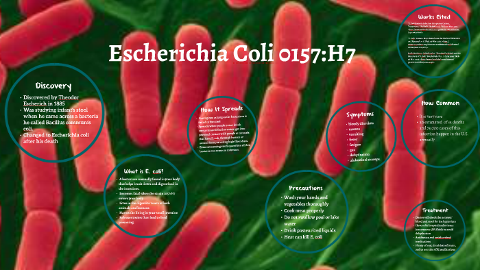 Escherichia Coli 0157:H7 by Kristi John on Prezi
