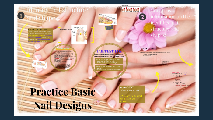 Identifying nail Structure and Shapes by Karen Agnes Rivera on Prezi