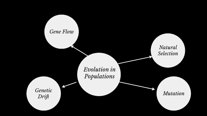 evolution in populations by Zoe Deland on Prezi
