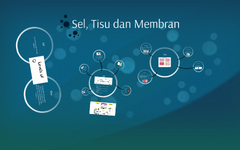Sel, Tisu dan Membran by Daily Lim on Prezi