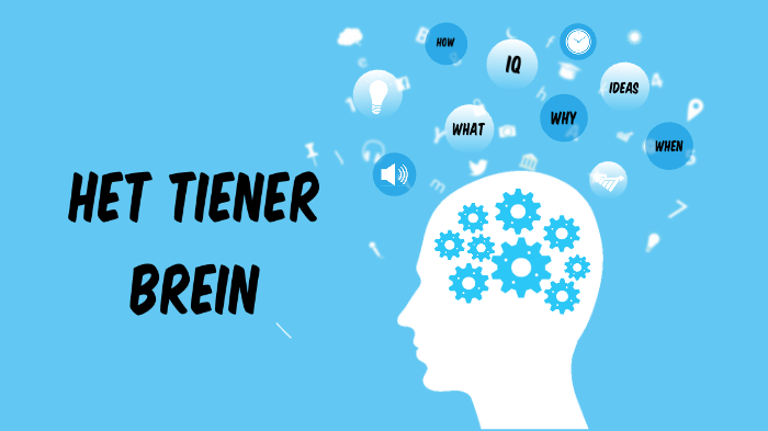 Het Tiener Brein by Roel Renkens on Prezi