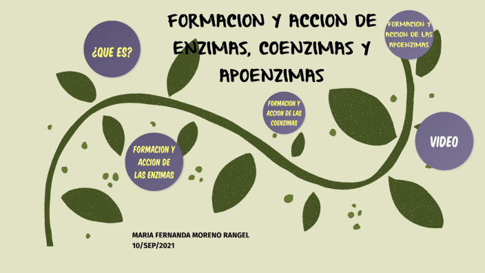FORMACION Y ACCION DE ENZIMAS, COENZIMAS Y APOENZIMAS by Fer Rangel on ...