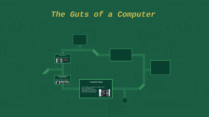 The Guts of a Computer by Garrett Reiber on Prezi