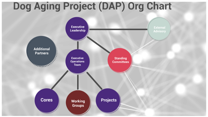 DAP Dynamic Org Chart_ALL_LIVE by Brooke Benton on Prezi