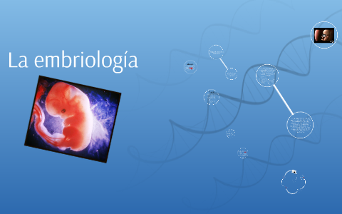 ¿Qué es la embriología? by Alejandro Jasso on Prezi