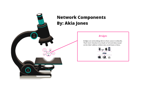 Network Components by Akia Jones on Prezi