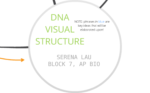 DNA Visual Structure Project by Serena Lau on Prezi