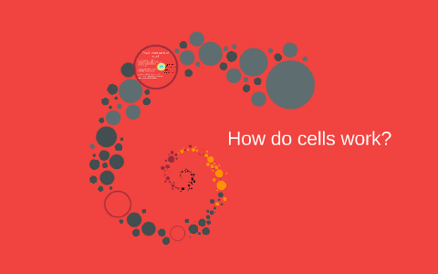 How do cells work? by david jones on Prezi