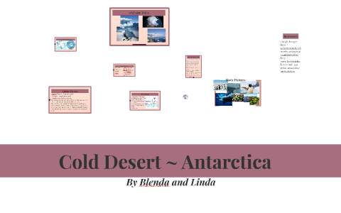Cold Desert Food Chain