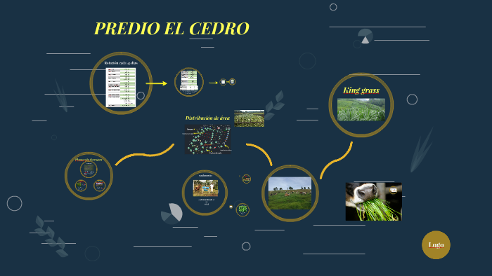 Plantae by edilma Betancur Ruiz on Prezi
