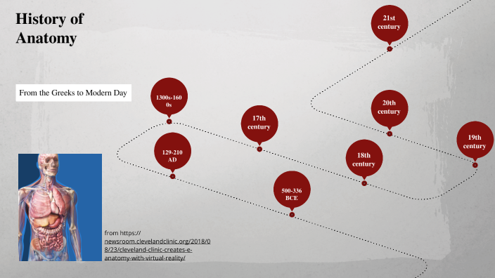 History of Anatomy by Matthew Fredrickson on Prezi