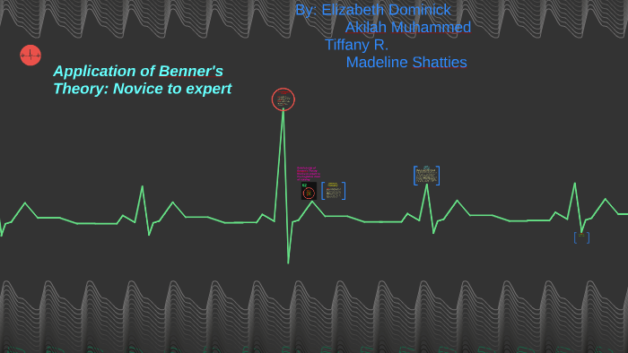 Application of Benner's Theory: Novice to Expert by Elizabeth Garcia ...