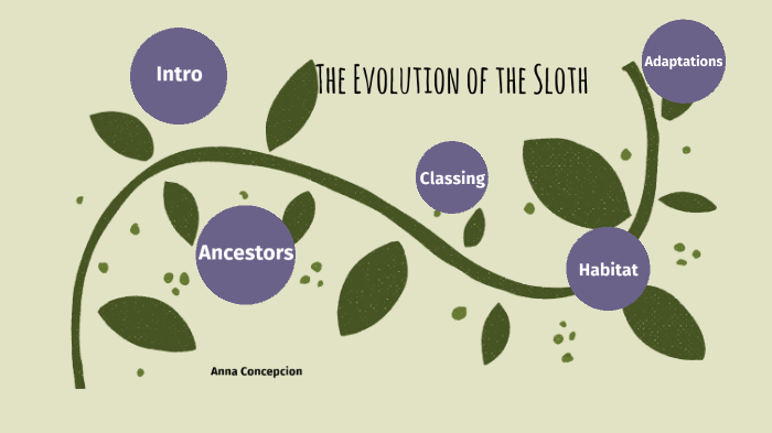 The evolution of the Sloth by Anna Concepcion on Prezi