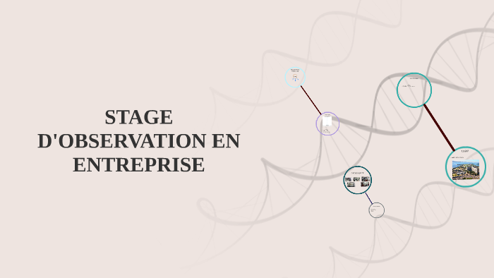 STAGE D'OBSERVATION EN ENTREPRISE by hunteurpace hunteurpace on Prezi