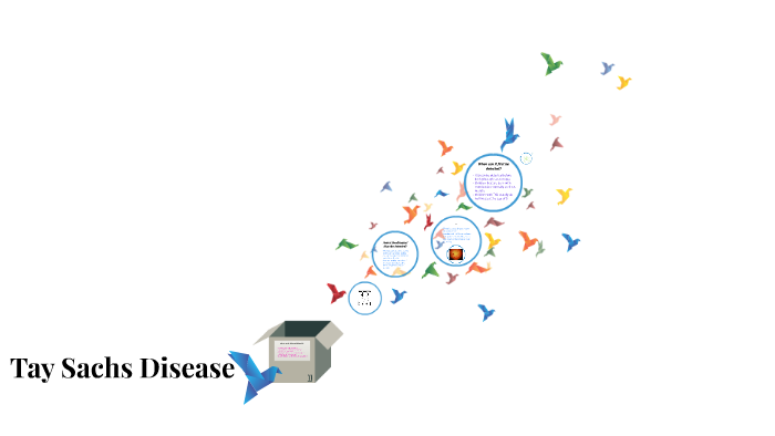 Tay Sachs Disease by Jordyn Ritza on Prezi