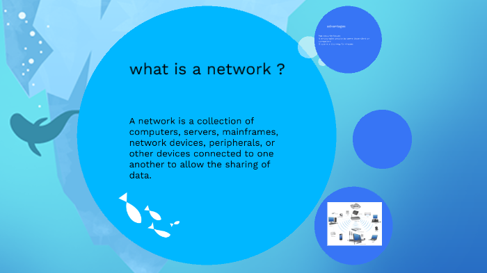 network topology by scarlett godfrey on Prezi
