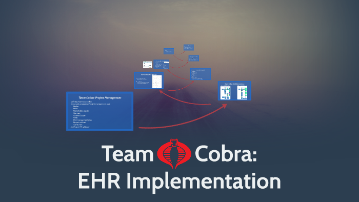 Team Cobra: EHR Implementation by Karen Arena on Prezi