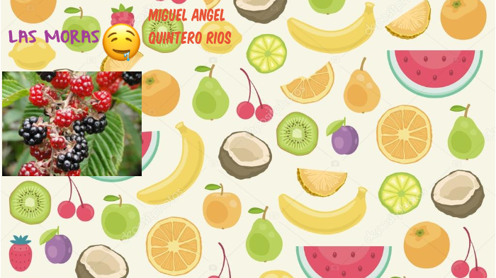 Las moras by Miguel Angel Quintero Rios on Prezi