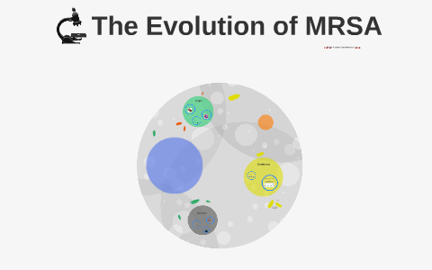 The Evolution of MRSA by Eliza Pauk on Prezi