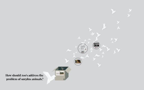 What should zoo's do about surplus animals? by Robby Warfel on Prezi